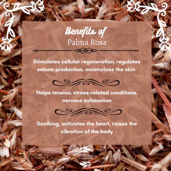 The Benefits of Palma Rosa - Plant Prana Essential Oils