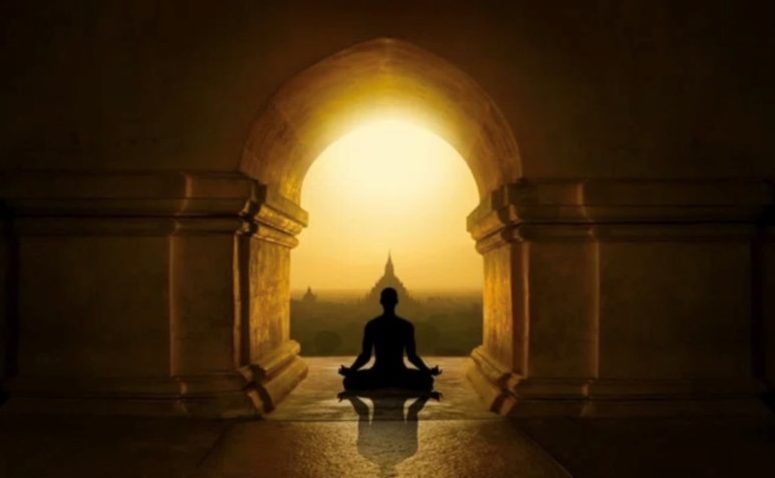 Revitalizing the Soul – Plant Prana Essential Oils